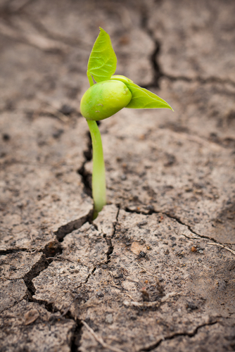 Secret Formula | Matthew Nordan's energy, environment, innovation blog